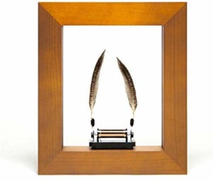 Wonder Machine Slow Dance Live Frame | BringTheGeorges